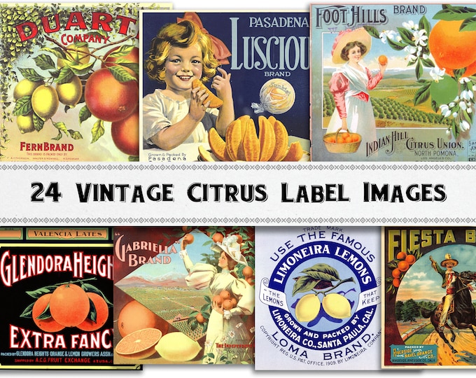 Original Vintage Citrus Crate Label 1930 Rare Rose Brand Redlands ...