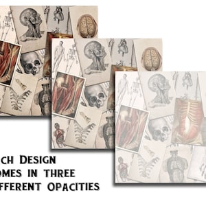 Vintage Human Anatomy Digital Papers / Skeleton Scrapbook Journal ...