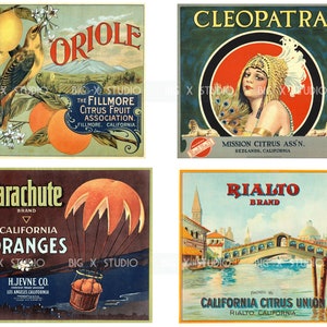 Citrus Label Images Set 3 / Victorian Ephemera / Commercial Use ...