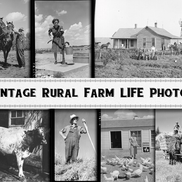 Farm Life Photo - Etsy