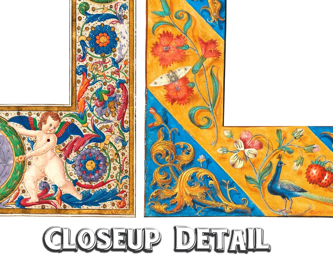 Medieval Illuminated Manuscript Frame PNG Images Set 2 | Etsy