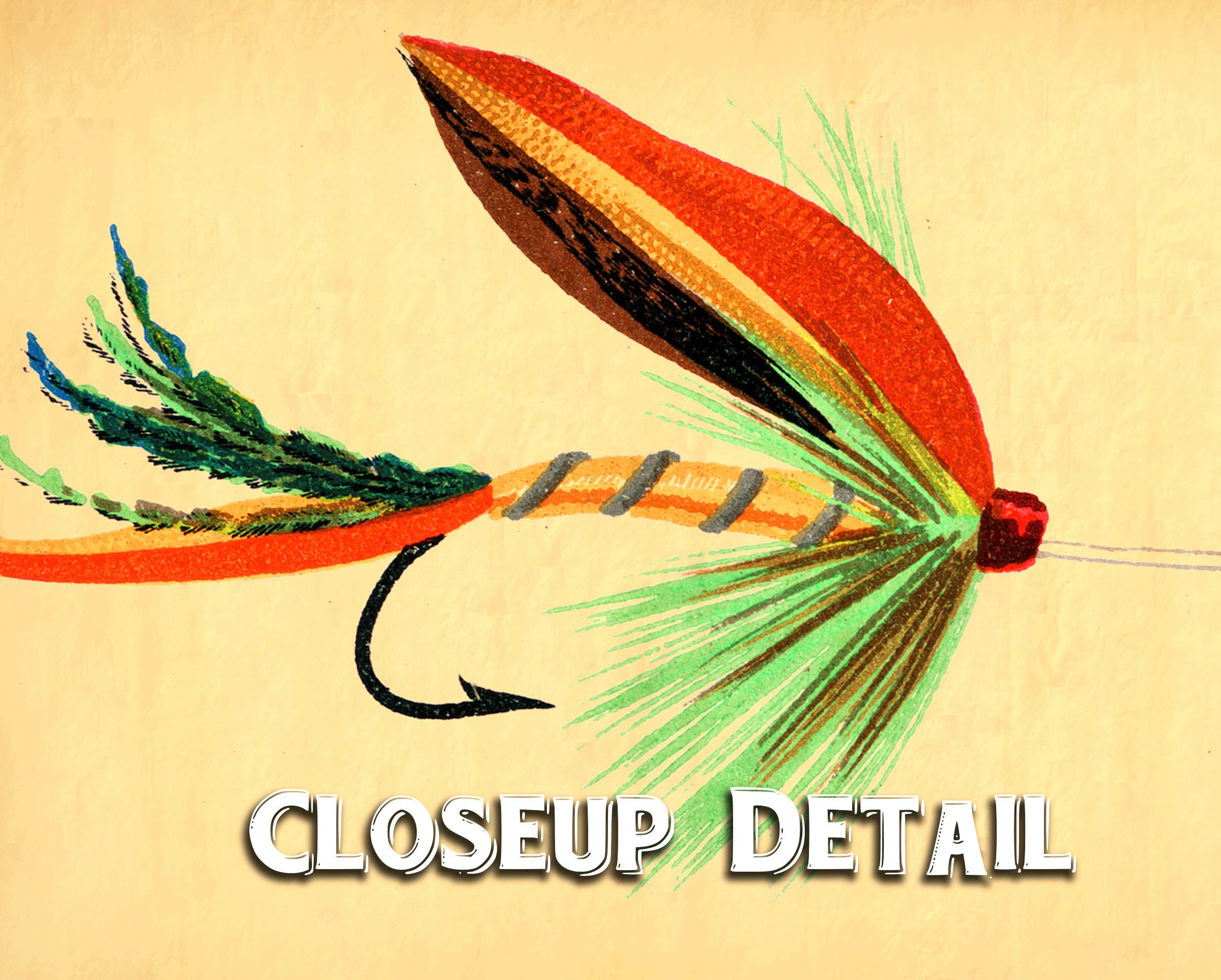 Vintage Fishing Fly Illustrations / Digital Download / | Etsy
