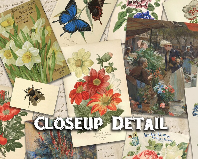 Vintage Garden Digital Paper Backgrounds / Scrapbook - Etsy