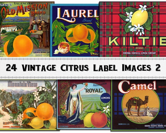 Citrus Label Images Set 2 / Victorian Ephemera / Commercial - Etsy