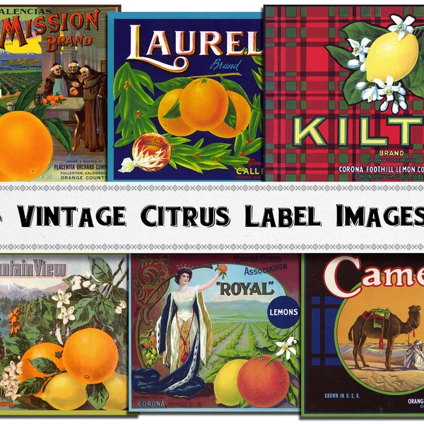 Citrus Crate Label - Etsy
