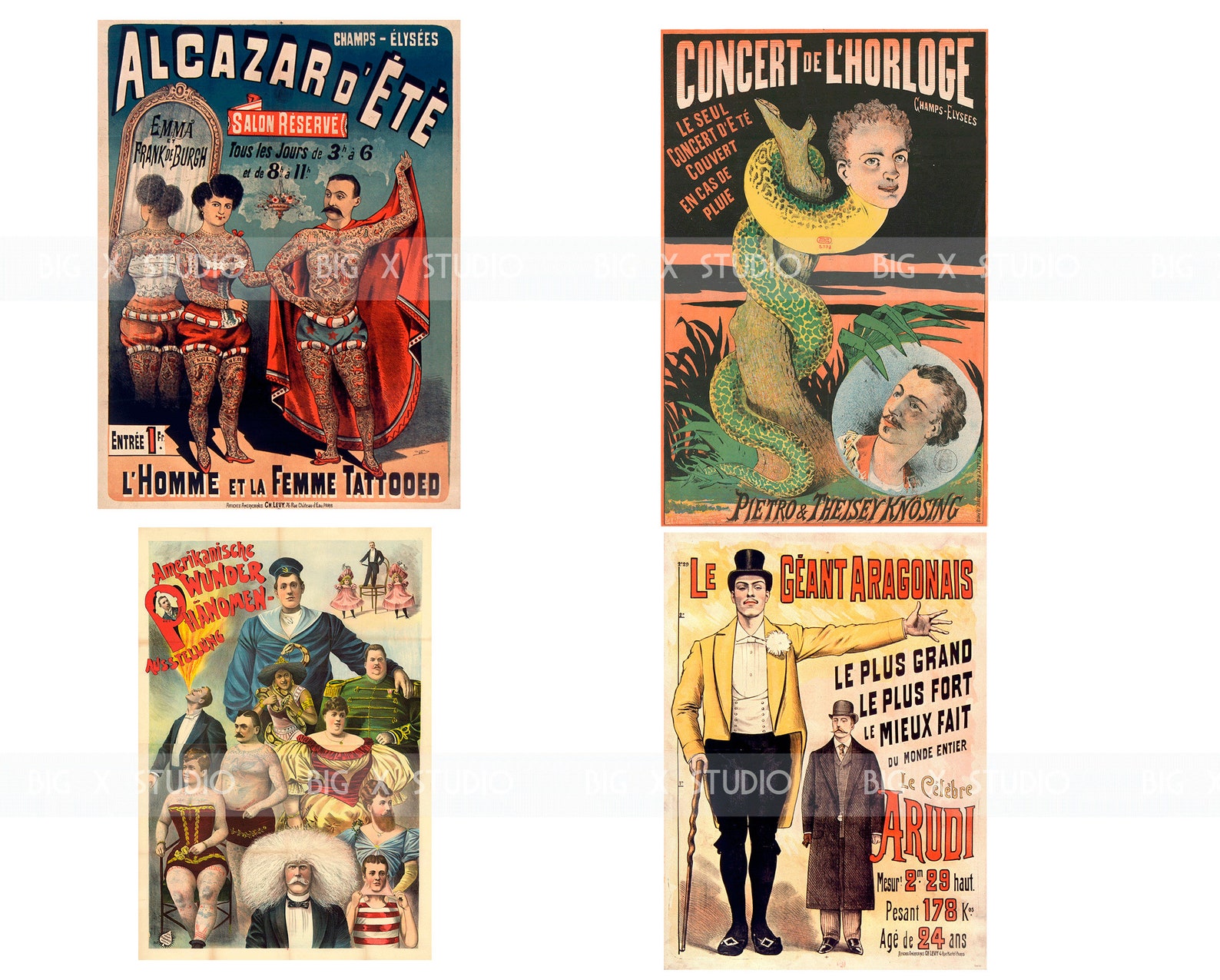 Circus Sideshow Poster Images / Digital Download / Commercial - Etsy