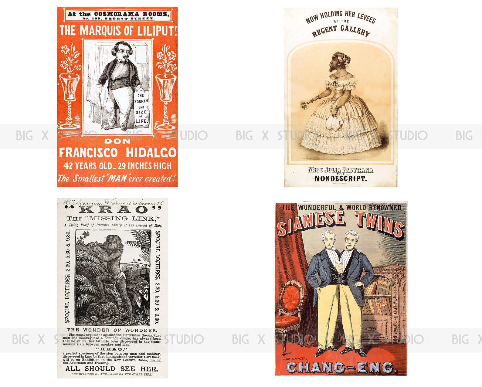 Circus Sideshow Poster Images Set 3 / Digital Download / Commercial Use ...