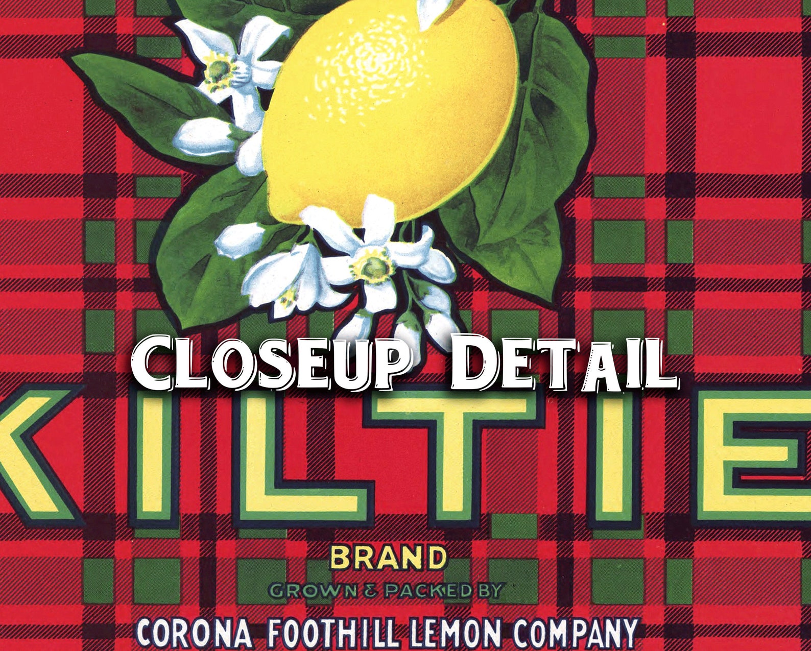 Citrus Label Images Set 2 / Victorian Ephemera / Commercial - Etsy