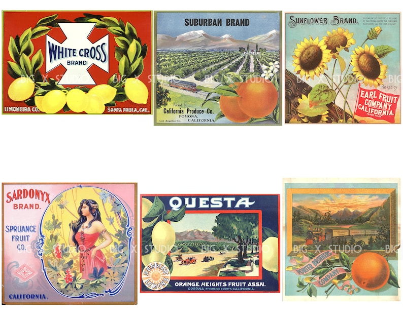 Citrus Label Images / Victorian Ephemera / Commercial Use / Digital ...