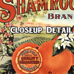Citrus Label Images Set 3 / Victorian Ephemera / Commercial Use ...