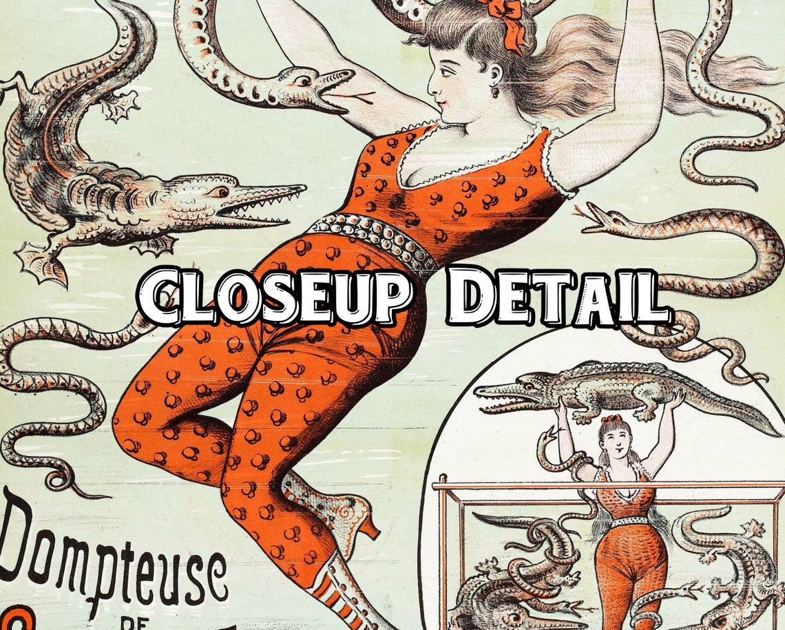 Circus Sideshow Poster Images Set 5 / Digital Download / - Etsy