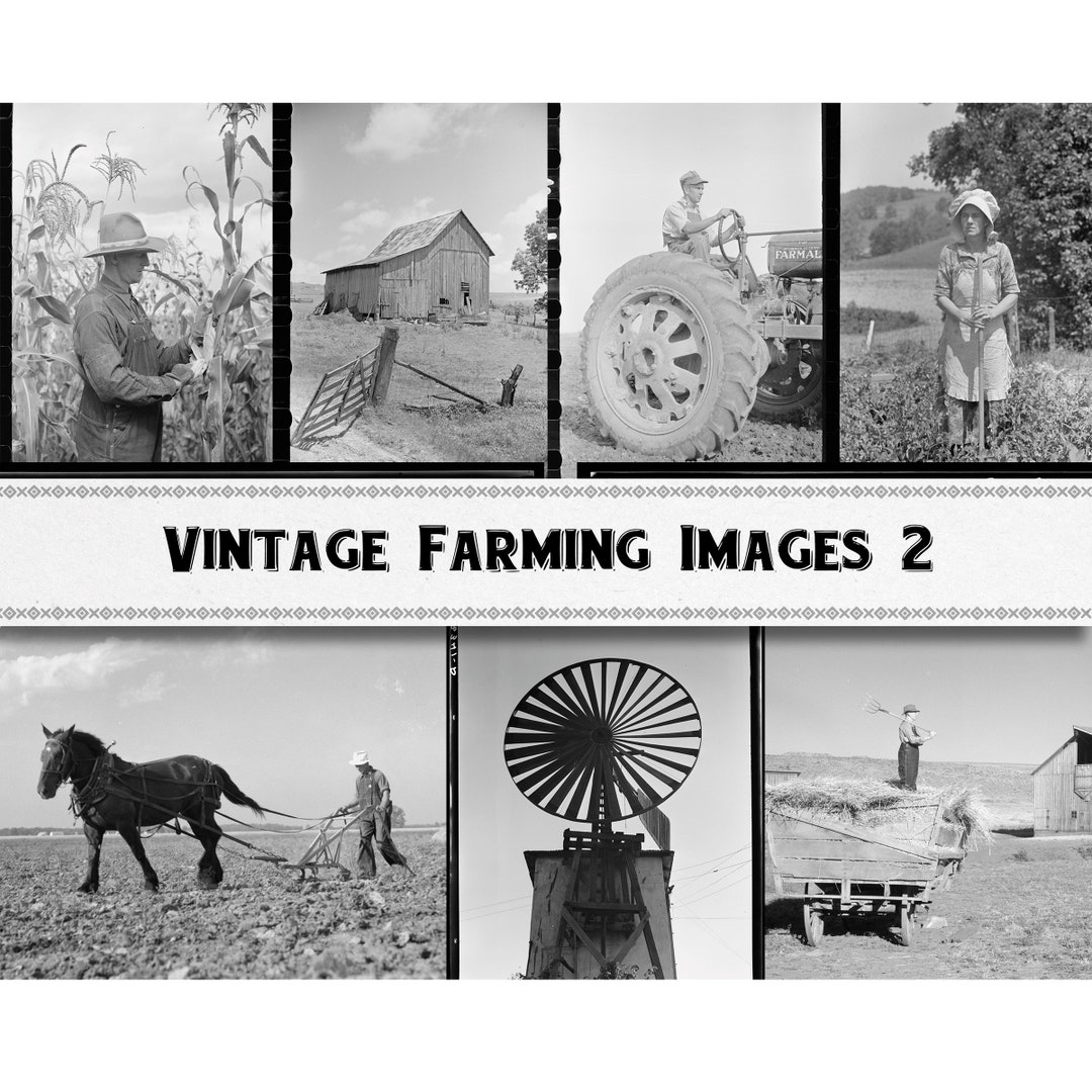 Vintage Rural Farm Life Photographs Set 2 / Digital Download ...