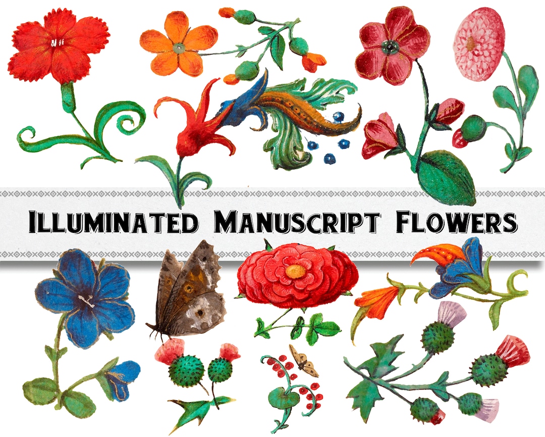 Medieval Illuminated Manuscript Flowers, Digital Download, Commercial ...