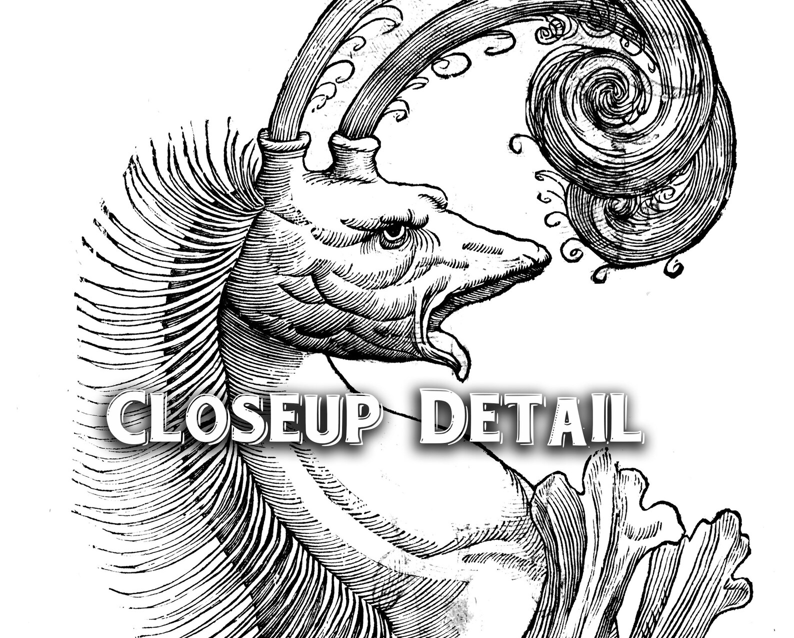 Medieval Monster Engraving Images / Digital Download / | Etsy