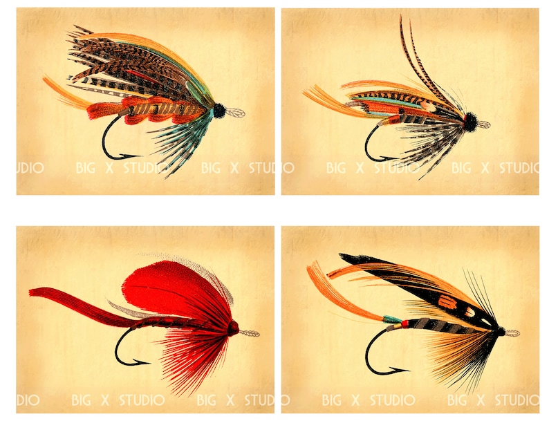 Vintage Fishing Fly Illustrations / Digital Download / Commercial Use ...