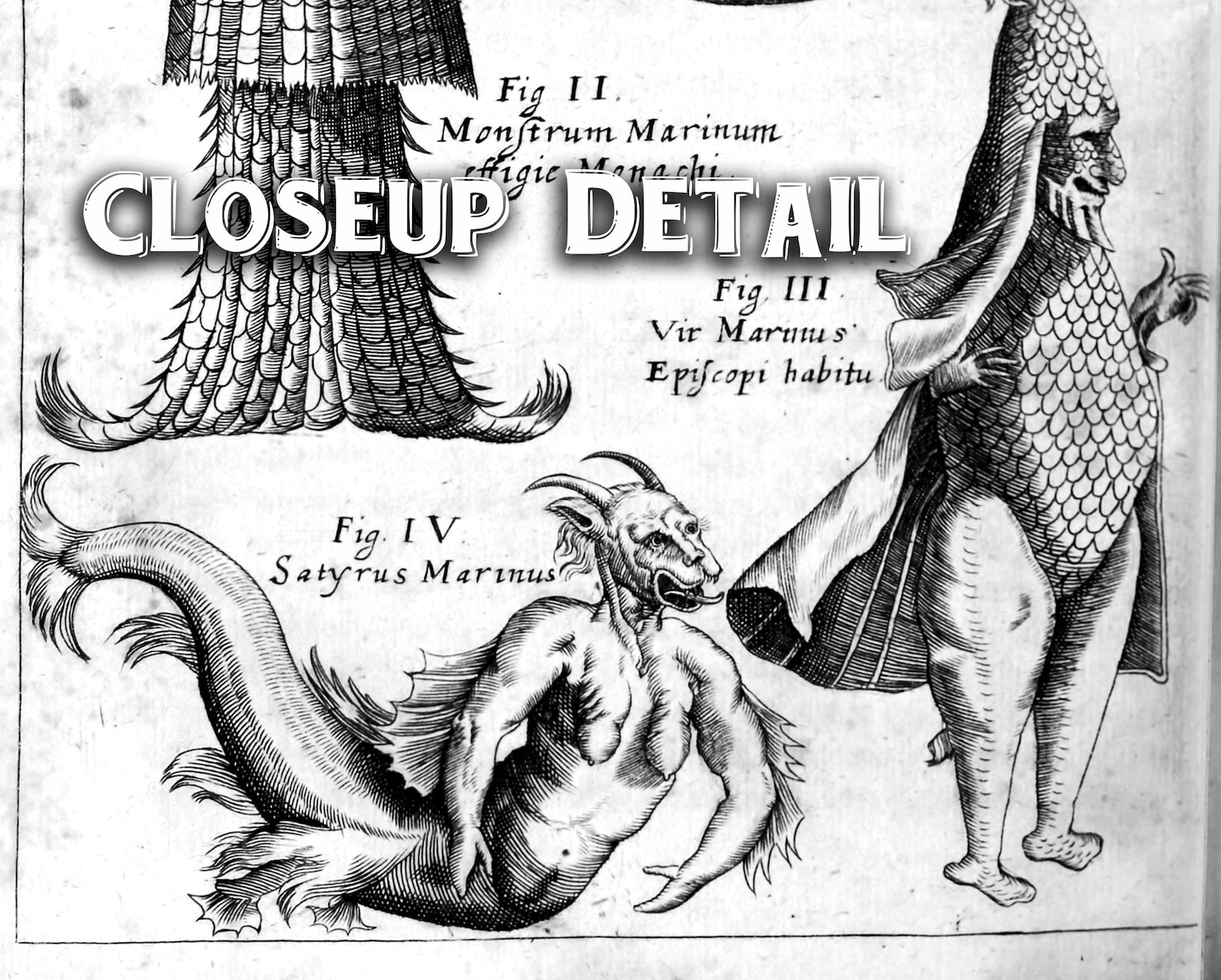 Medieval Monster Engraving Images / Digital Download / | Etsy