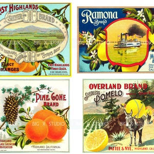 Citrus Label Images Set 3 / Victorian Ephemera / Commercial Use ...
