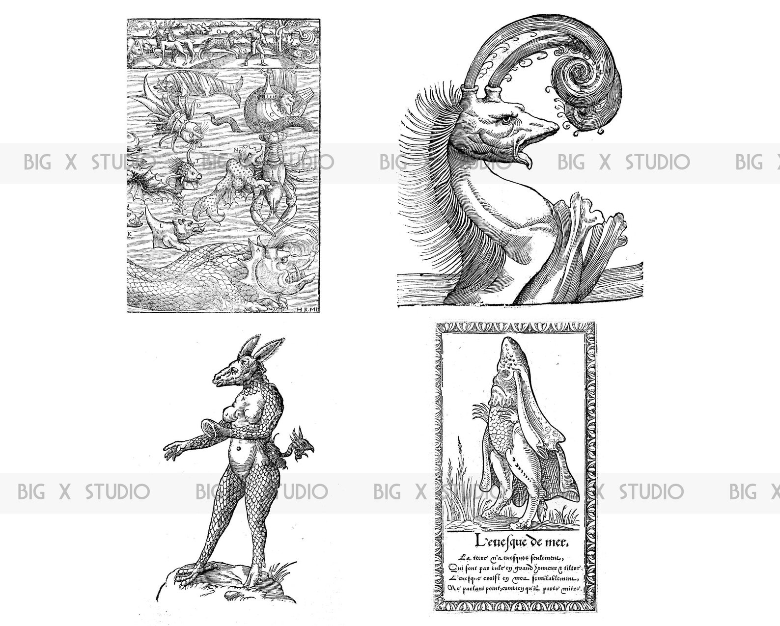 Medieval Monster Engraving Images / Digital Download / Commercial Use ...