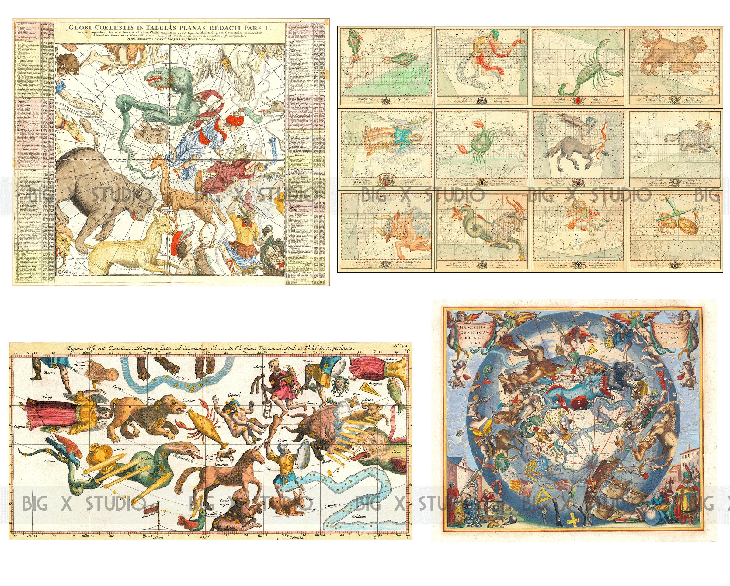 Astrological Star Chart Images / Medieval Renaissance Maps / Digital ...