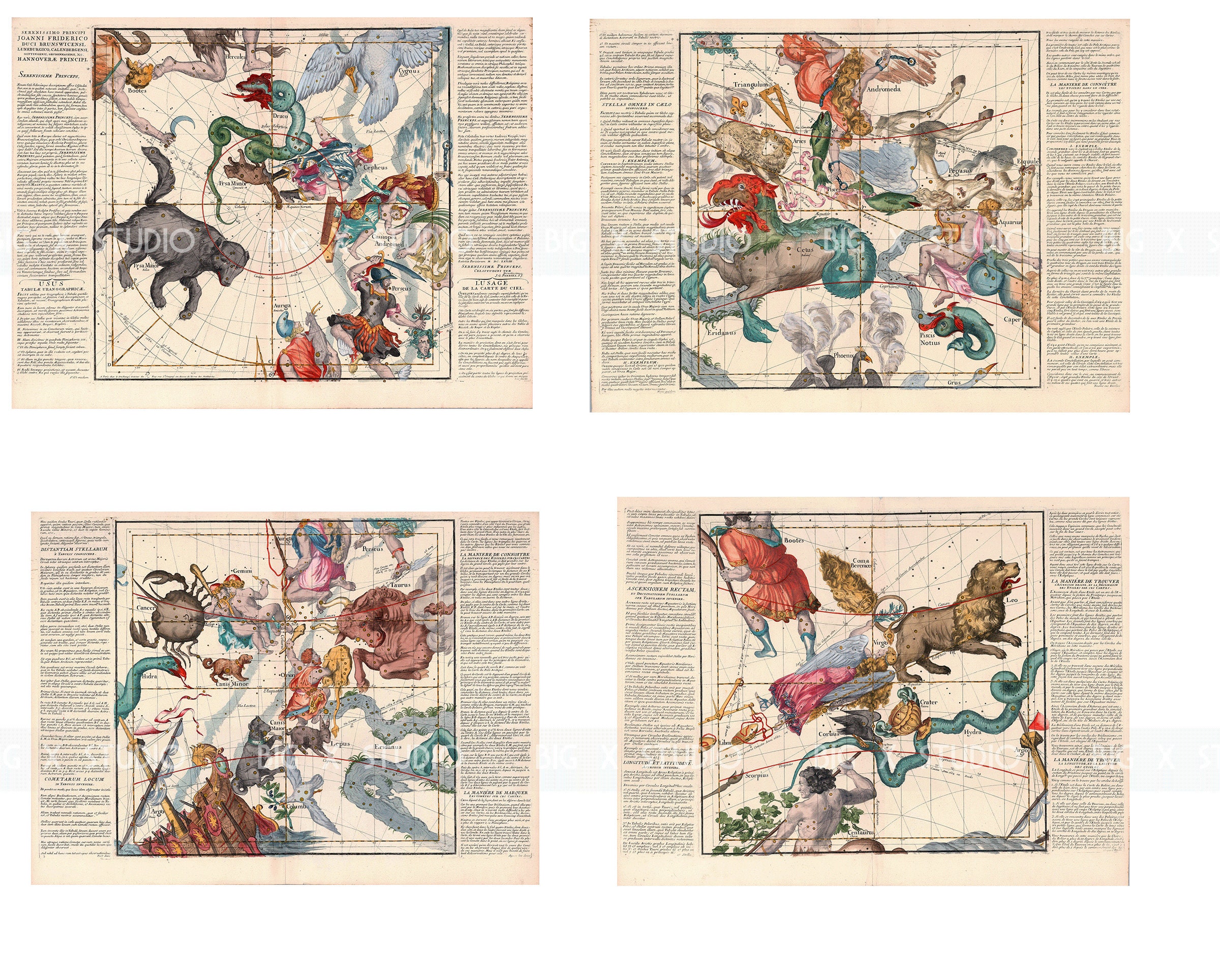 Astrological Star Chart Images / Medieval Renaissance Maps / Digital ...