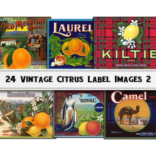 Florida Citrus Crate Label - Etsy