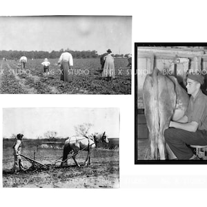 Vintage Rural Farm Life Photographs / Digital Download / Commercial Use ...