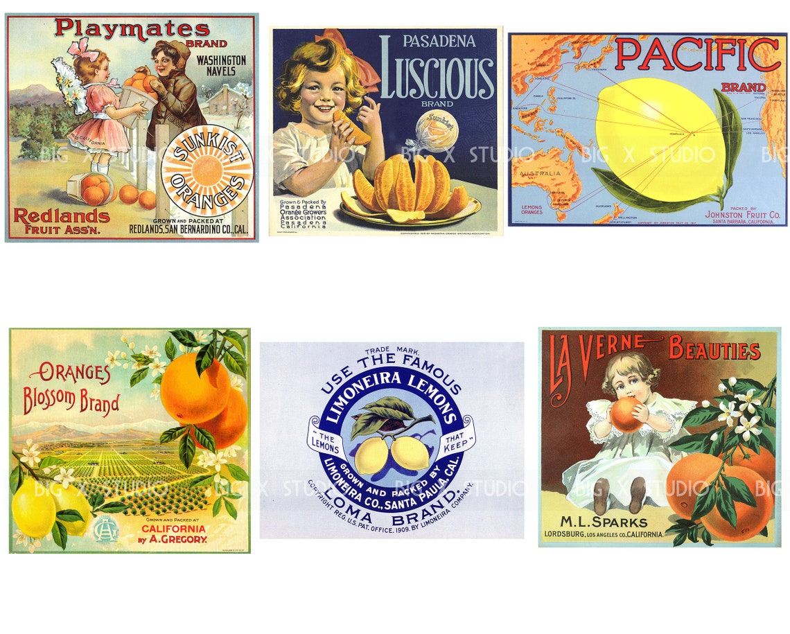 Citrus Label Images / Victorian Ephemera / Commercial Use / Digital ...