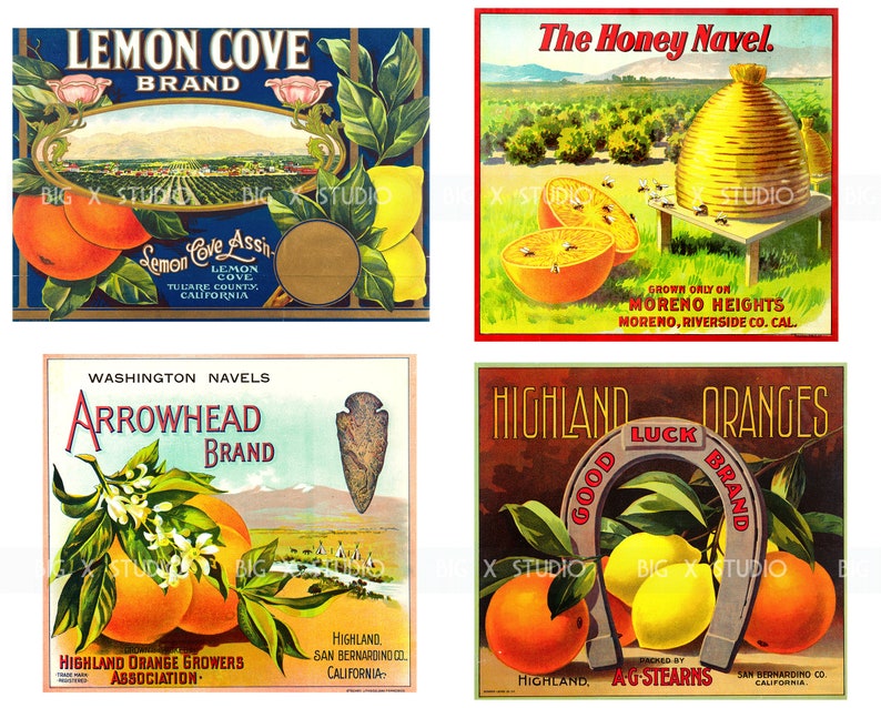 Citrus Label Images Set 3 / Victorian Ephemera / Commercial Use ...