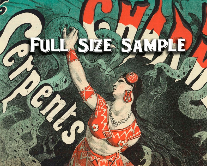 Circus Sideshow Poster Images / Digital Download / Commercial - Etsy