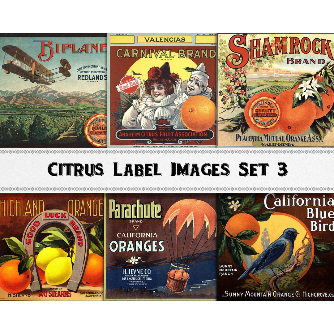 Citrus Label Images Set 3 / Victorian Ephemera / Commercial Use ...