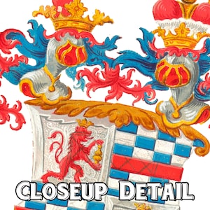 Medieval Heraldry Coat of Arms Set 2: Illuminated Manuscript Clipart ...
