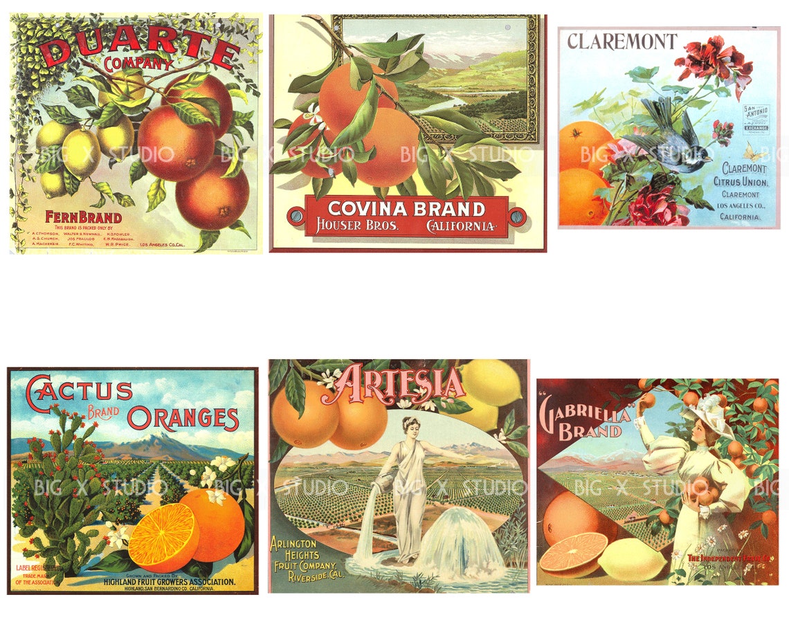 Citrus Label Images / Victorian Ephemera / Commercial Use / Digital ...