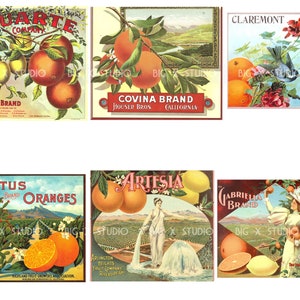 Citrus Label Images / Victorian Ephemera / Commercial Use / Digital ...