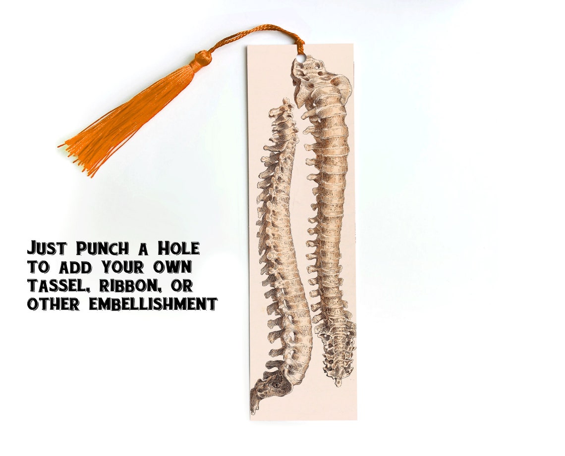 Vintage Anatomy Printable Bookmarks / Digital Download / - Etsy