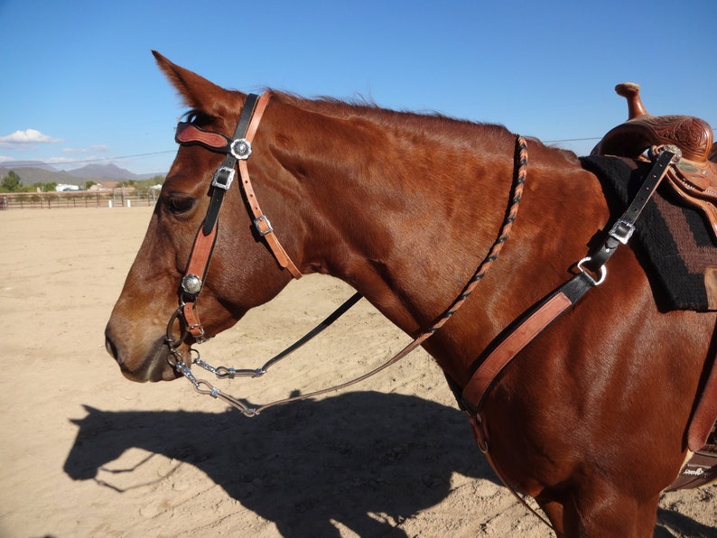 Headstall Scalloped West Coast Tack Russet Black Harness | Etsy