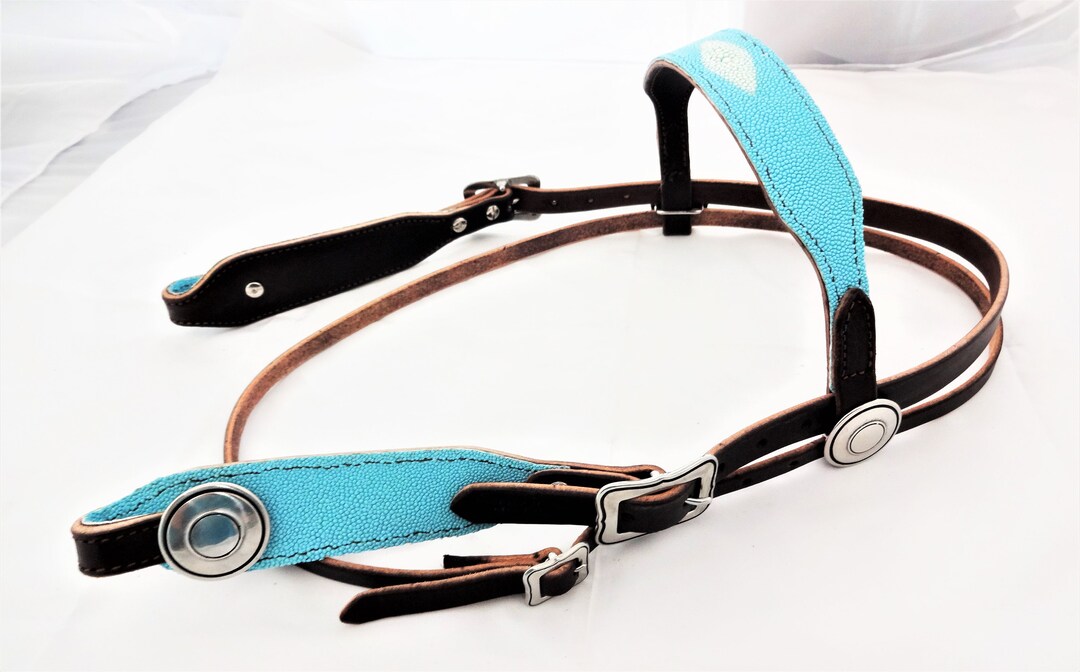 Aqua Turquoise Stingray Headstall West Coast Tack Dark Brown Bridle ...