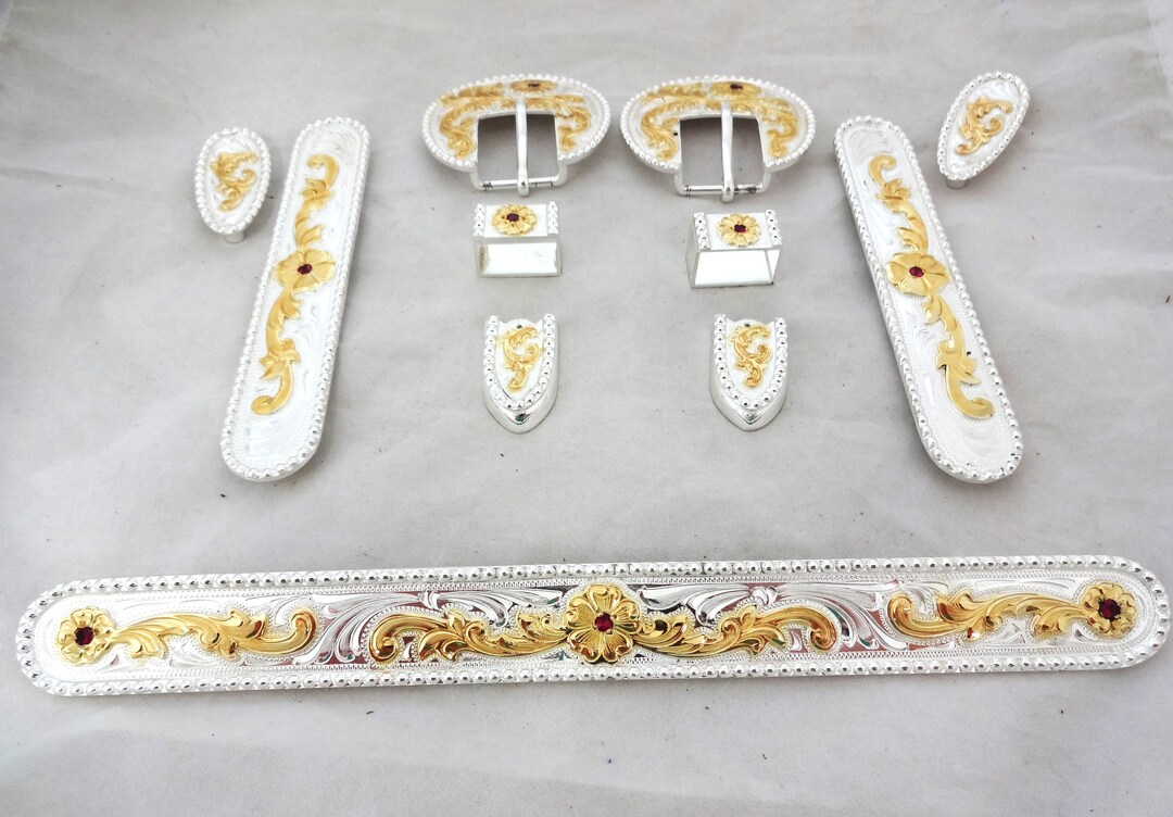 Phoenix 11 Piece Silver Plate Red Stones Western Horse Show Halter Set ...