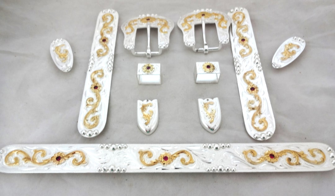 Vegas 11 Piece Silver Plate Red Stones Western Horse Show Halter Set ...