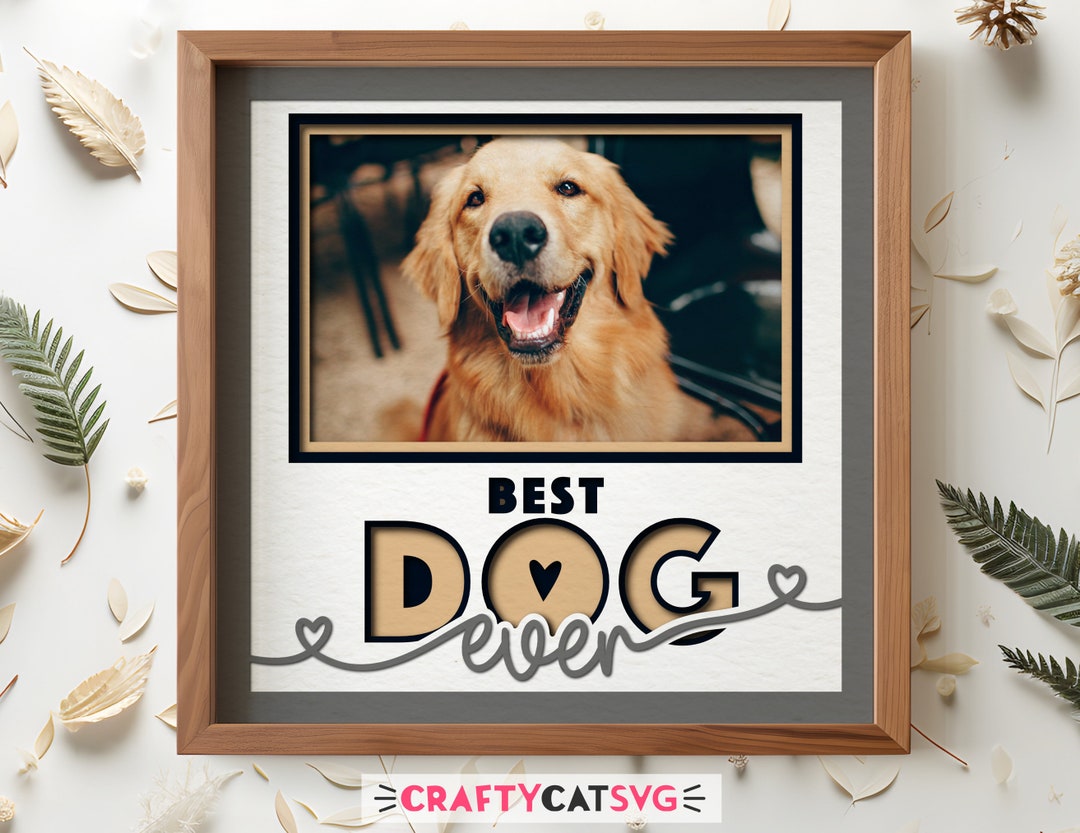 Dog Photo Shadow Box SVG: Pet Memorial Gift, Cricut File (digital ...