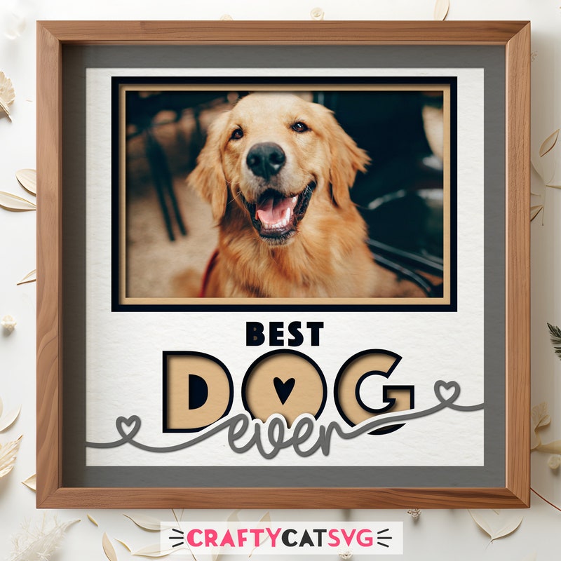 Dog Memorial Shadow Box - Etsy