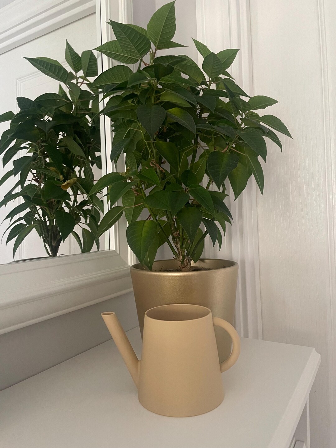 Modern Tea Mug Indoor Mini Watering Can - Etsy