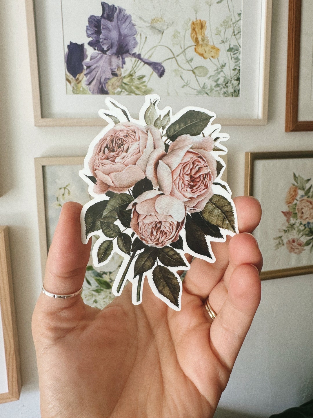 English Rose Sticker Die Cut Glossy 3x4 Botanical Laptop Waterbottle ...