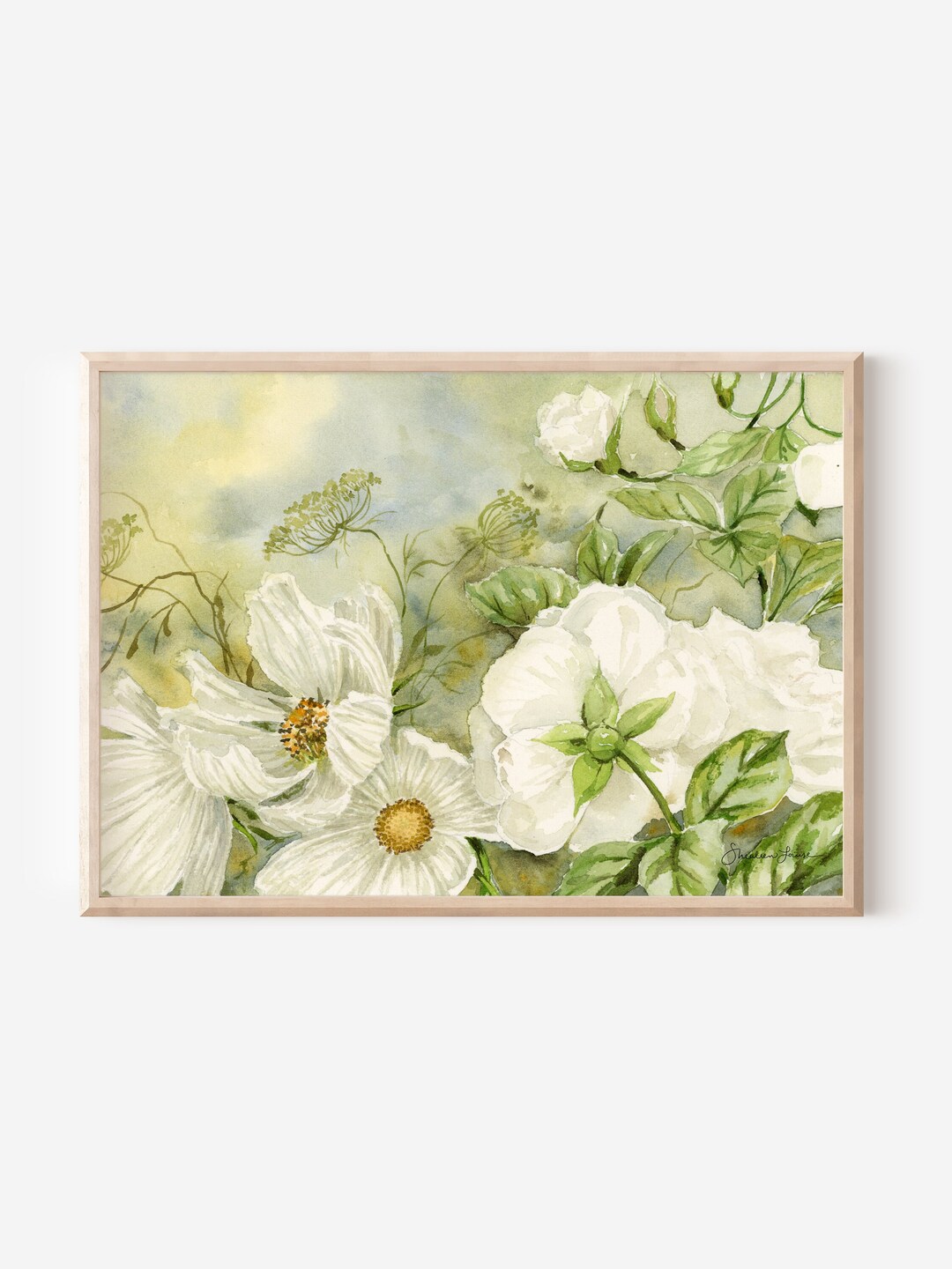 Roses and Cosmos Botanical Watercolor Art Print - Etsy