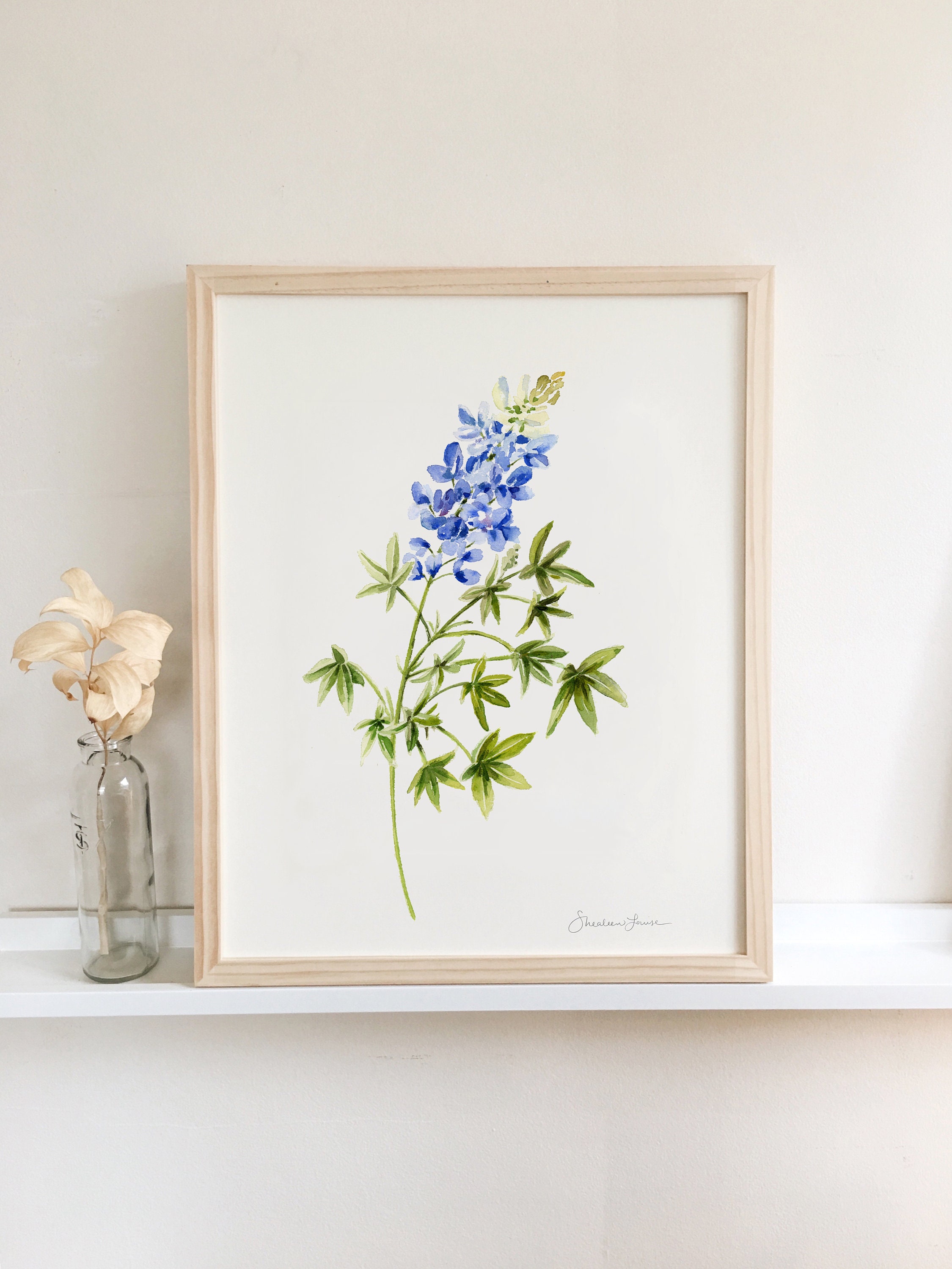 Bluebonnet Texas Wildflower Painting Watercolor Art Print Botanical ...