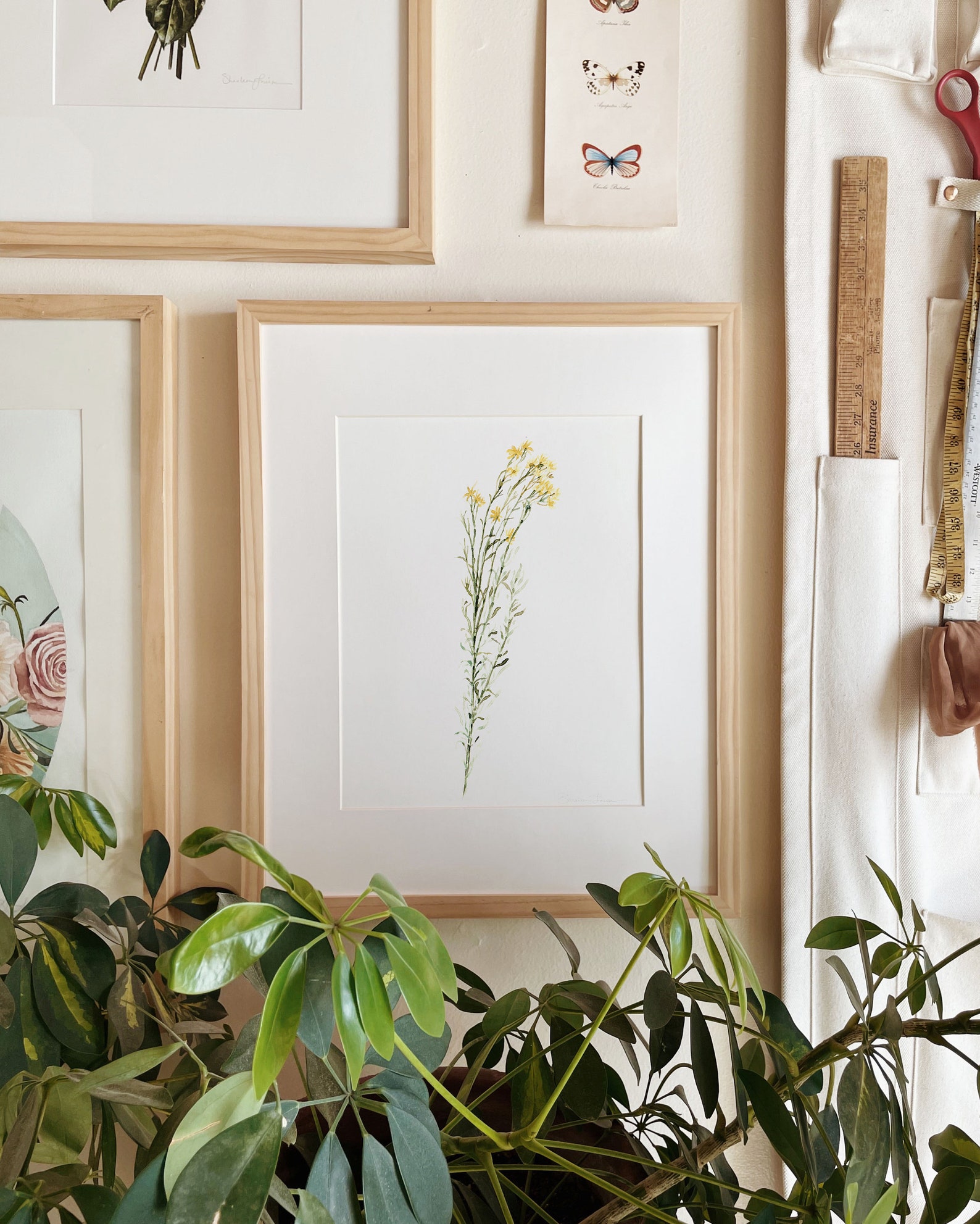 Chamisa Wildflower Fine Art Print | Botanical Home Decor | Minimal Wall ...