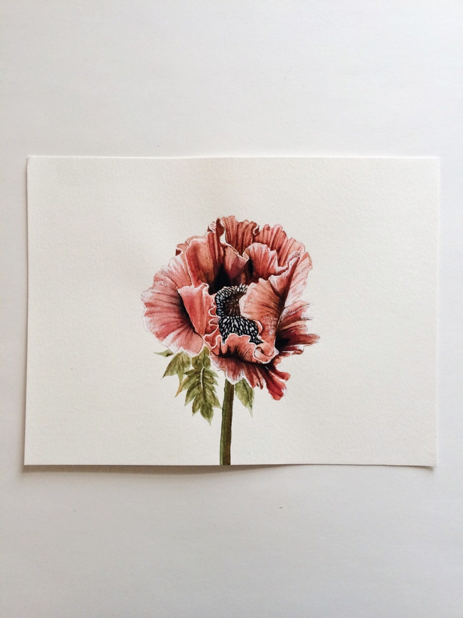 Pink Poppy — Fine Art Watercolor Print - Etsy