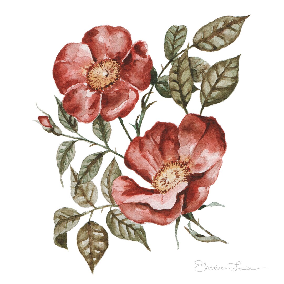 Wild Red Roses — watercolor Print - Etsy