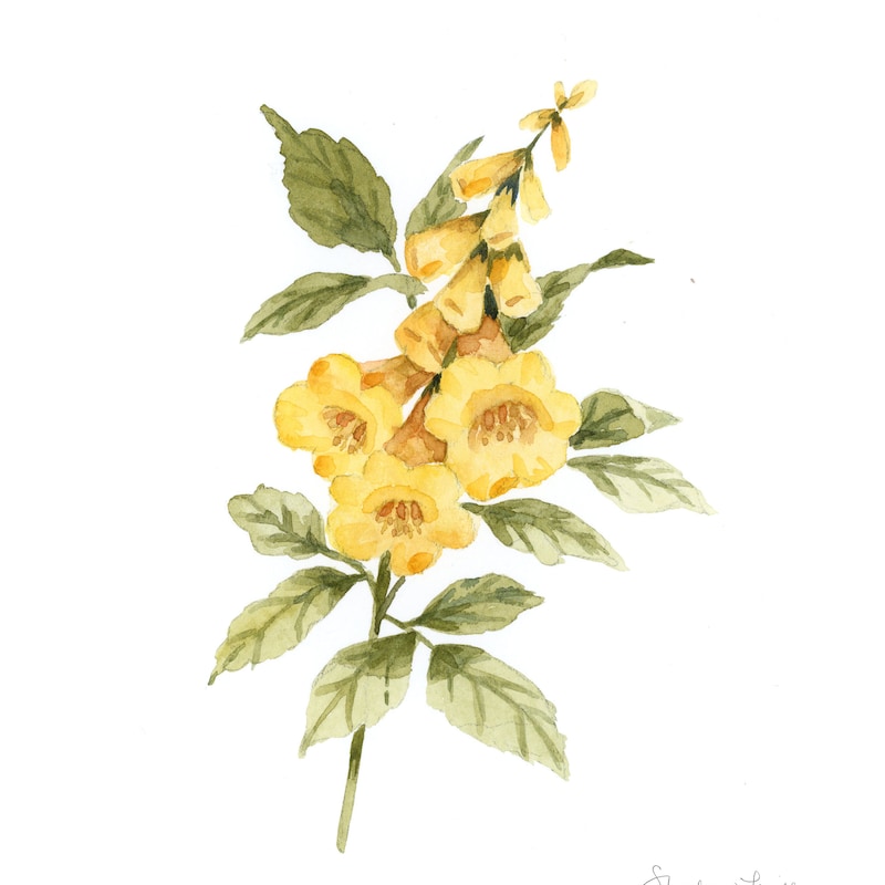 Yellow Flowers Print - Etsy