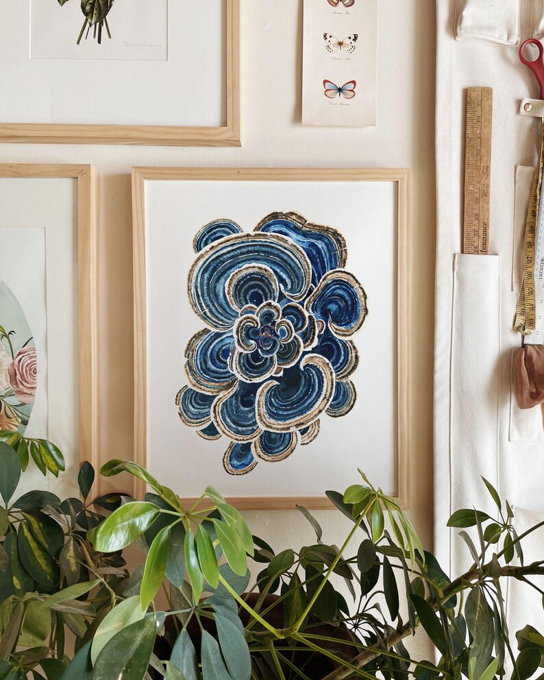 Blue Trametes "turkey Tail" Mushroom Print | Botanical Wall Art ...