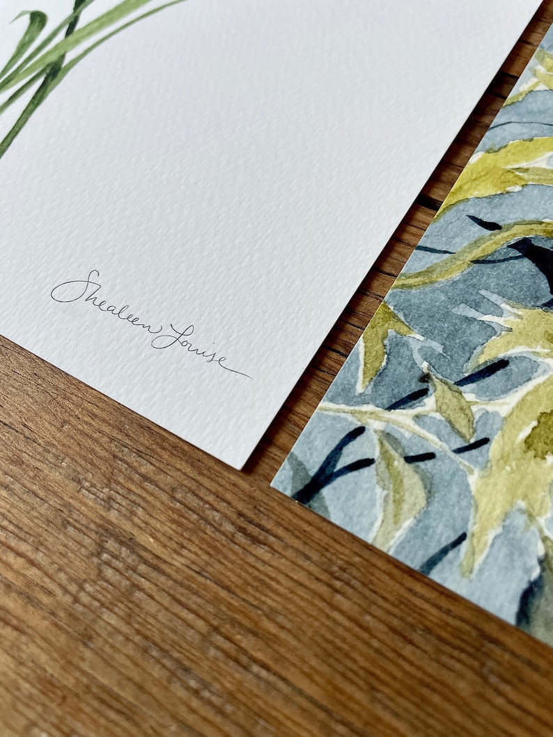 Soft White Cosmos Botanical Watercolor Art Print Cosmo Flower Wall ...